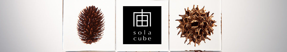 sola cubes – spoon & tamago