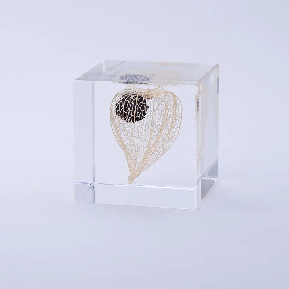 Sola Cube Hozuki – spoon & tamago