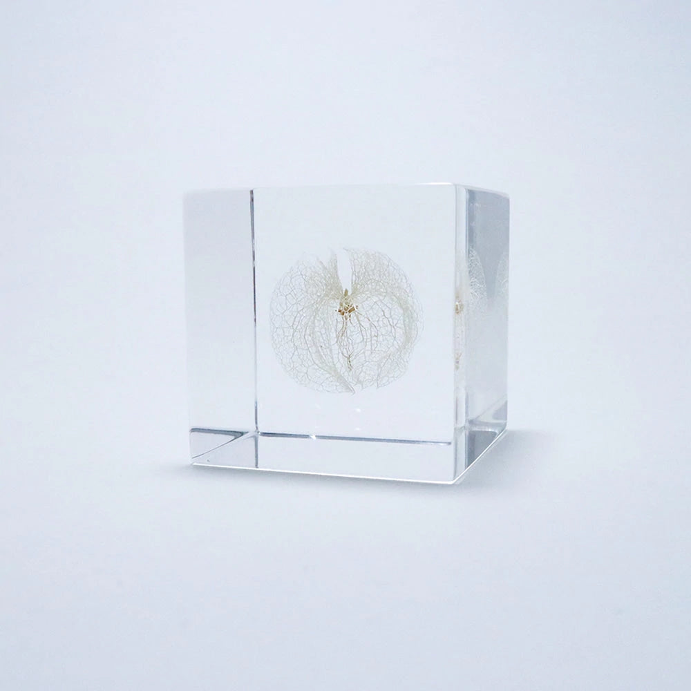 Sola Cube Hozuki – spoon & tamago