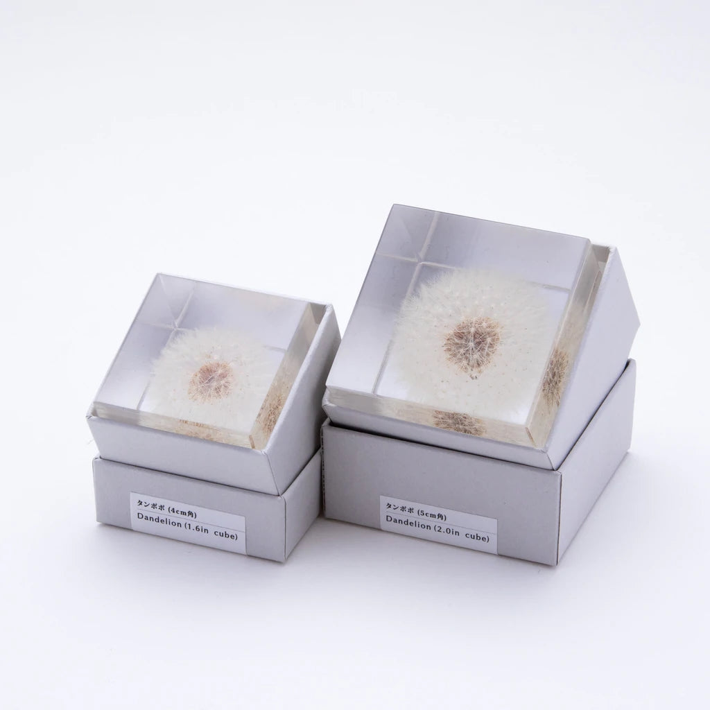 Sola Cube Dandelion – spoon & tamago