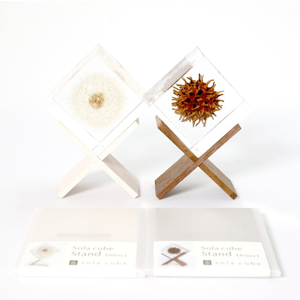 Shop All – Page 2 – spoon & tamago